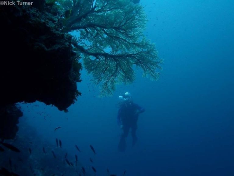 PADI Scuba Diver Course in Cebu — SiDive Philippines PADI Scuba Diver Course in Cebu — SiDive Philippines